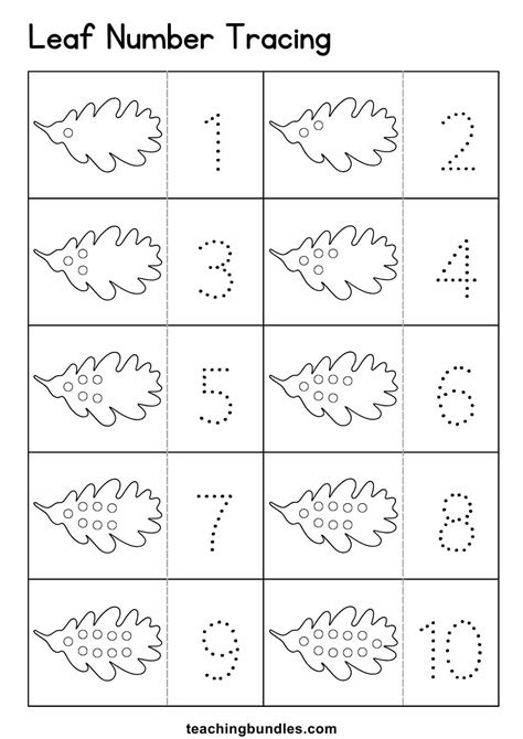 Free Leaf Tracing Worksheets Teachingbundles