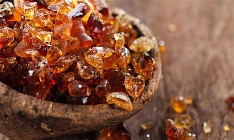 اگر از این همه خاصیت کتیرا اطلاع داشتید، استفاده از آن را فراموش نمی کردیدنحوه استفاده