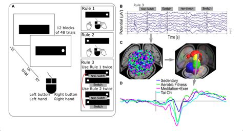 Executive Attentional Task And Eeg Analysis A Visuospatial