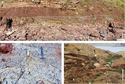 Time Space And Synoptic Topography How To Read Outcrops As A Granular