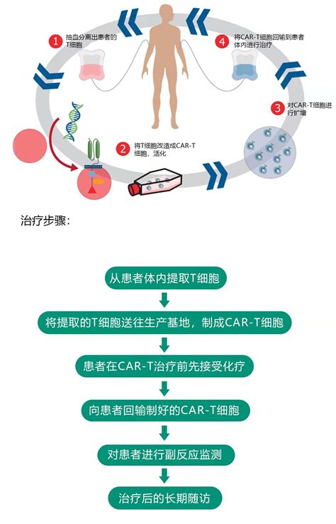 Science重磅：无需取出t细胞，体内实现car T治疗！只需一针mrna治心衰！ 知乎