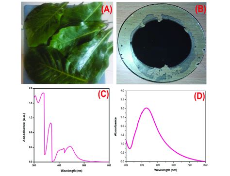 Uv Vis Spectrometric Analysis A Tcattappa Leaf B Synthesized