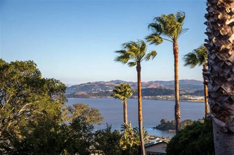 Bayside Marin Treatment Center Photos Reviews San Rafael California