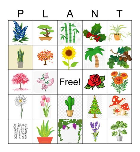 Plants And Flowers Bingo Card