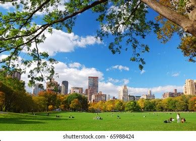Photo And Image Portfolio By Songquan Deng Shutterstock Contributor