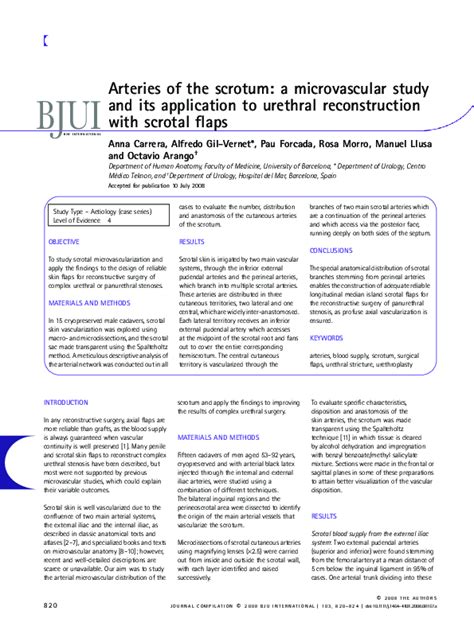 Pdf Arteries Of The Scrotum A Microvascular Study And Its