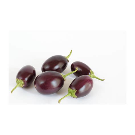 Small Brinjal Jaivikhaat