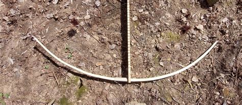 Ash D Longbow Finished Thank You All Guys For Support And Tiller Checks Rbowyer