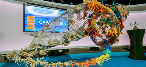 Weaving Art With Science In Ghost Net Collaboration Aims