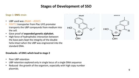 Expanding The Genetic Code Pptx
