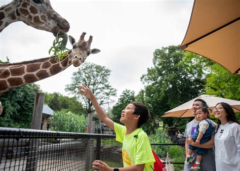 About Philadelphia Zoo History In The Making Philadelphia Zoo