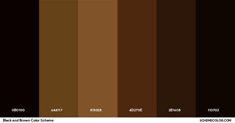 Brown Color Palette Color Palette Ideas From 1479 Sunrise Images