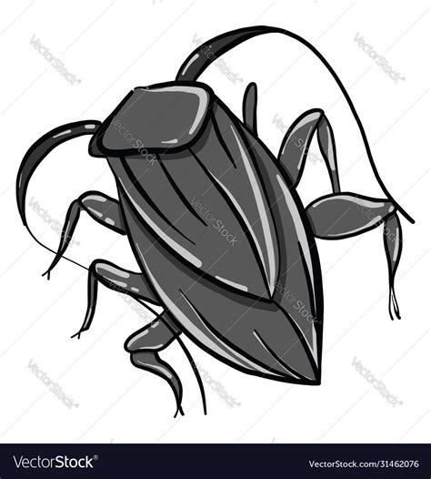Black Cockroach On White Background Royalty Free Vector