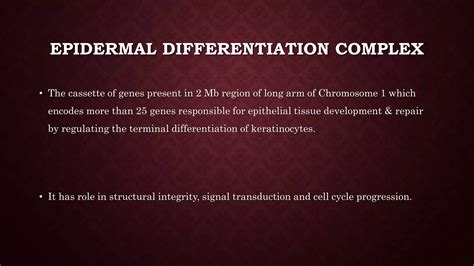 Epidermal Differentiation Complex Pptx