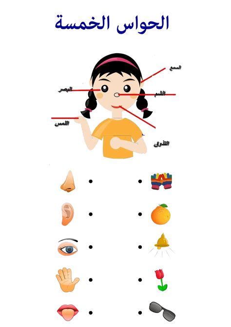 Épinglé Par Miybea Sur Harfler Coloriage Rentrée Maternelle Alphabet Maternelle Initiale