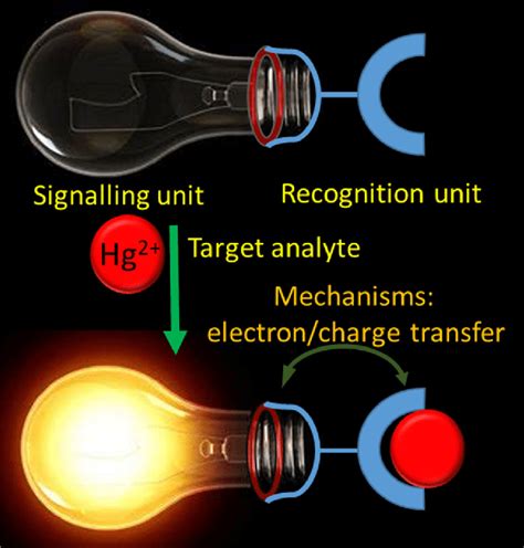 Schematic Representation Showing The Design Of A Chemosensor