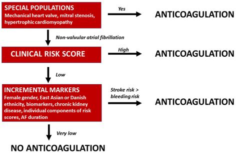Individualization Of Stroke Risk Stratification In Patients Who Are