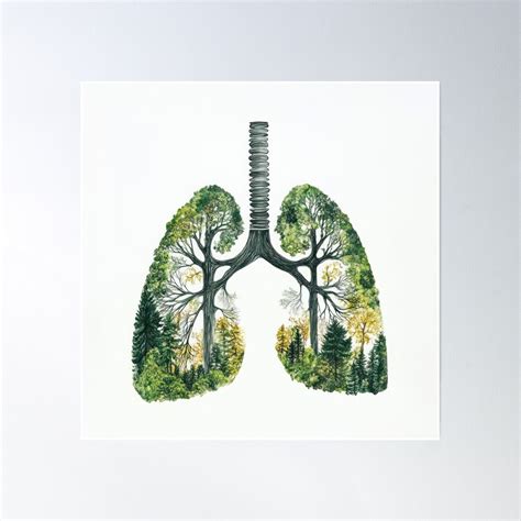 Anatomical Lungs Poster Drawings Tattoos For Women Human Lungs