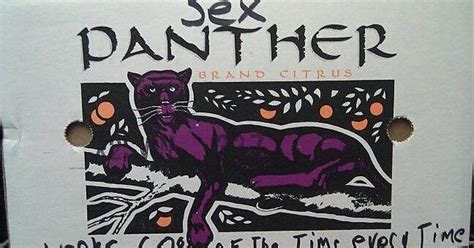 Seductive Citrus Imgur