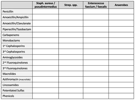 Gram Positive Coverage Diagram Quizlet