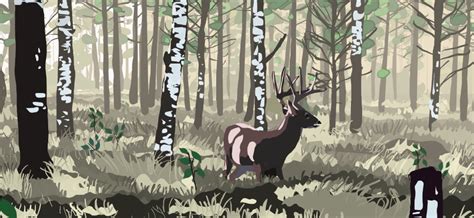 Adding Fog To Grease Pencil Objects Using Python Blendernation