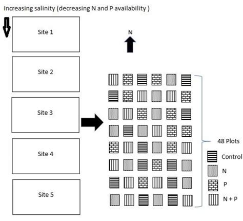 Experimental Design Along Five Sites With Salinity Gradient From Site 1 Download Scientific