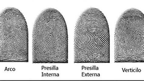 Juan Vucetich Y La Revolución De Las Huellas Dactilares El Primer