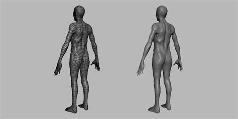 Thin Male Basemesh Topology Uv Map Blender Market