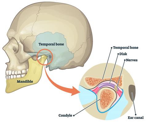 Tmj Disorder Signs And Symptoms Hartley Bridge Tmj Macon