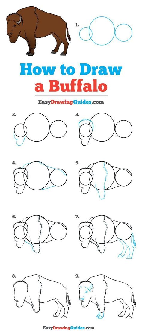 How To Draw A Buffalo Drawing Tutorial Easy Drawing Tutorial Easy
