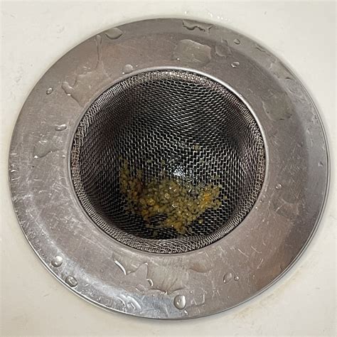 022823 Citrus Zest Sink Strainer Compost Zero Waste Chef