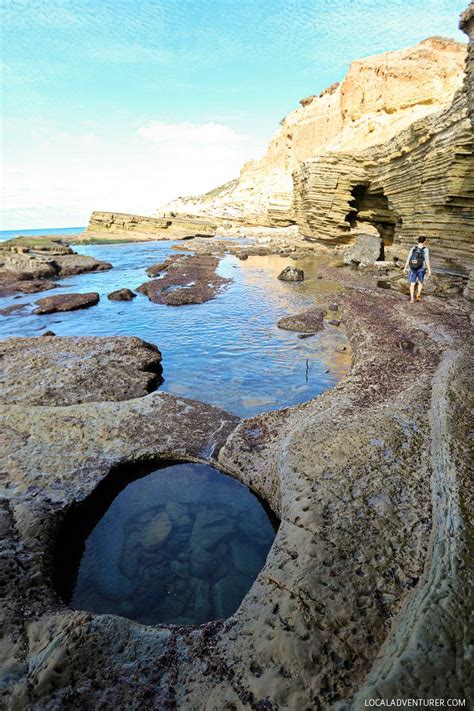 Cabrillo National Monument Tide Pools