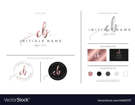 Initial Cb Letter C B Handwriting Beauty Logo Vector Image