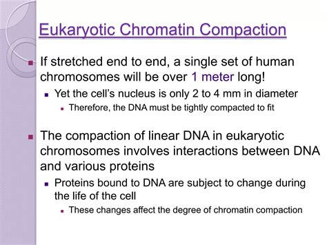 Organization Of Dna In Chromosomes Pptx