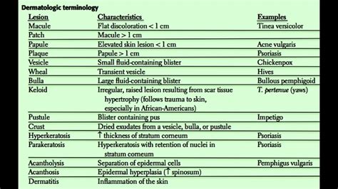Medical Terms Used In Dermatology At Anthony Bohnsack Blog