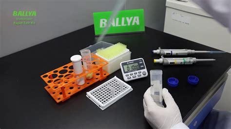 Vomitoxin Rapid Test Detection Of Vomitoxin In Soybean Meal Ballya