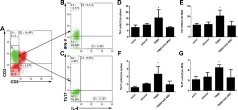 Uc Mscs Alter T Helper Cell Subgroups In Colitis Mice Populations Of