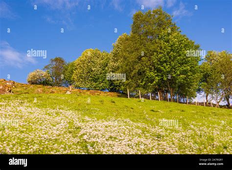 Nature Scenarios In Saebo Inside The Hjorundfjorden Norway Stock
