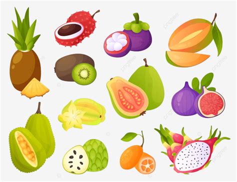 Exotic Mango Vector Png Images Exotic Fruits Juicy Pineapple Mango