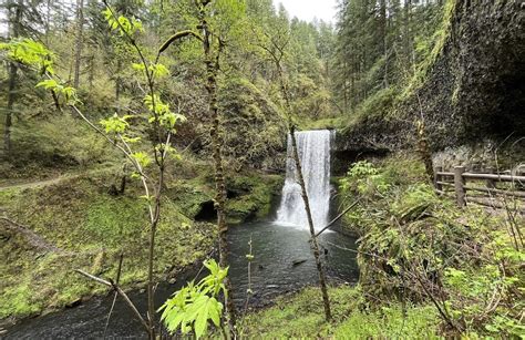 Best Hikes And Trails In Harris Beach State Park Alltrails