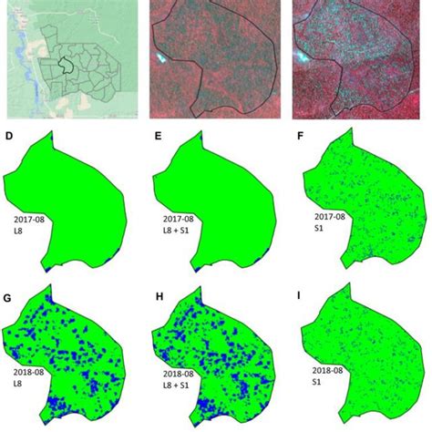 Area Of Selective Logging In 2018 Outlined In Black Within The Jamari