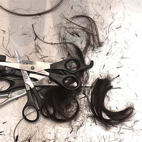 Milo Discover 330 Milo Hansen 🇮🇸🇩🇪🇺🇸 🏳️‍⚧️ Ideas Hansen Midwest