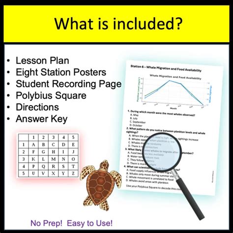 Animal Migration Crack The Code Science Stations Graph Analysis