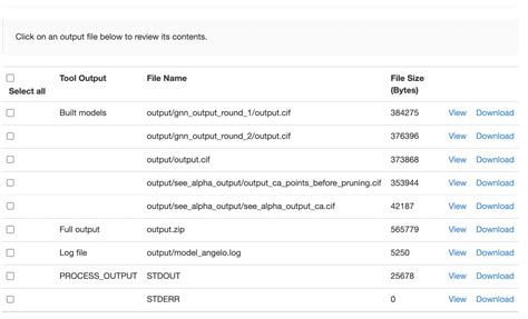 Model Angelo Cosmic2