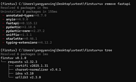 Python在uv的基础使用 序语程言