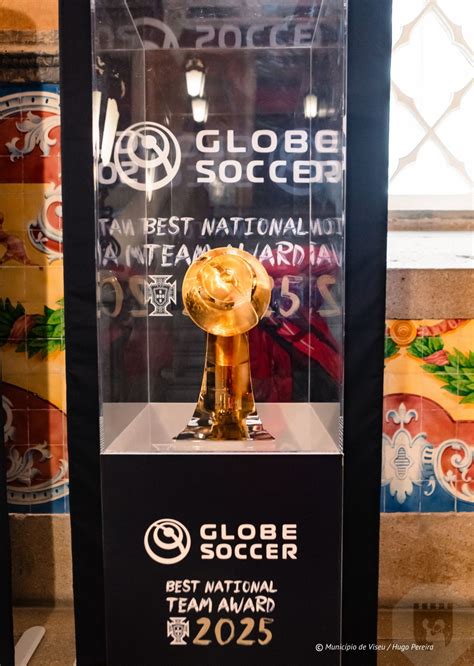 Agrupamento De Escolas Grão Vasco Apresenta Projeto Europeu Arise