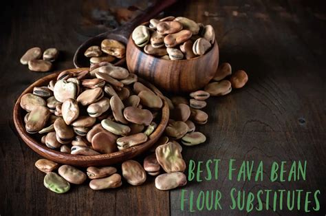 6 Best Fava Bean Flour Substitutes The Coconut Mama