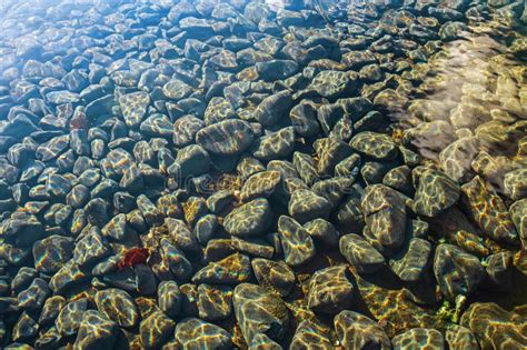 Reflections Of The Sun On The Underwater Stones At The Bottom Of The