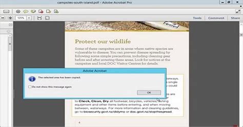 Adobe Acrobat Snapshot VS Wondershare PDFelement Capture Which Is Be