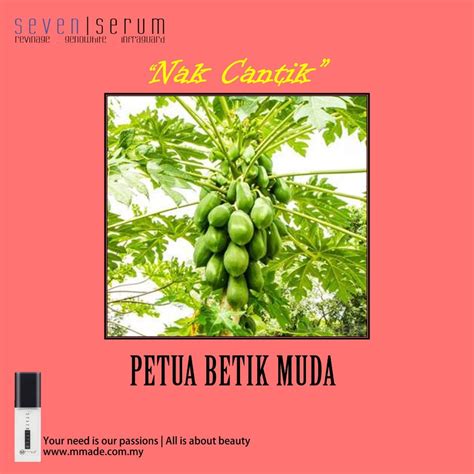 Khasiat Betik Hijau Betik Millennium Made Fan